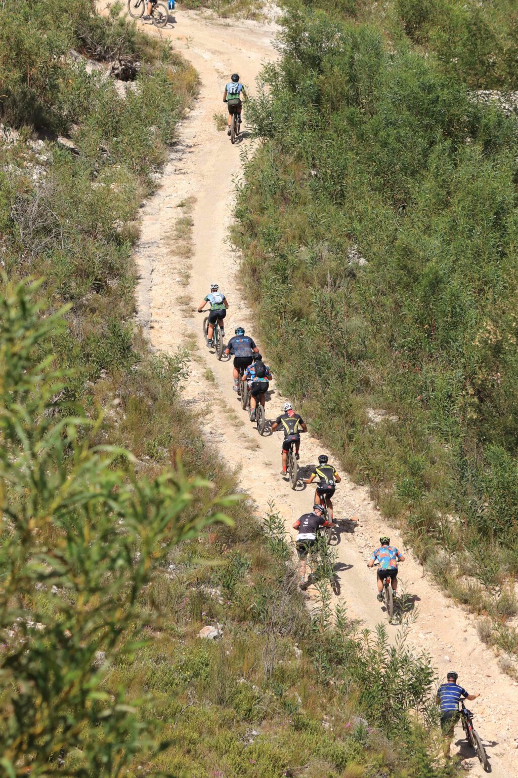 Hermanus Adventures | Hermanus MTB Trails – Home of Hermanus MTB Trails